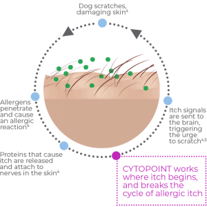 Cytopoint - Pahang Pharmacy Animal Health