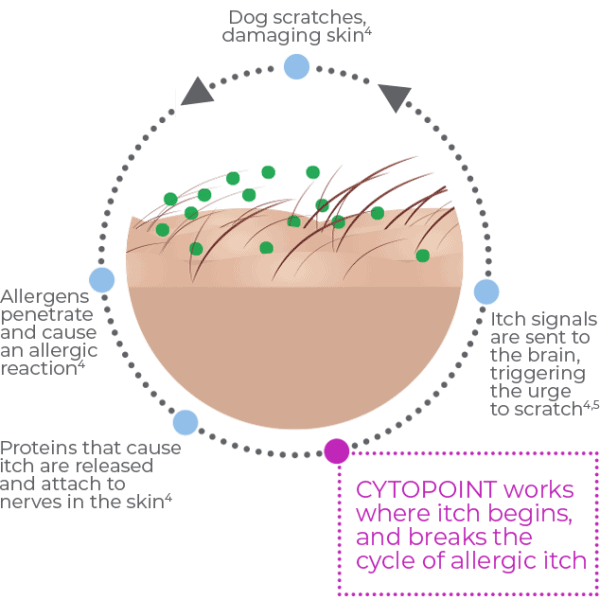 Cytopoint - Pahang Pharmacy Animal Health