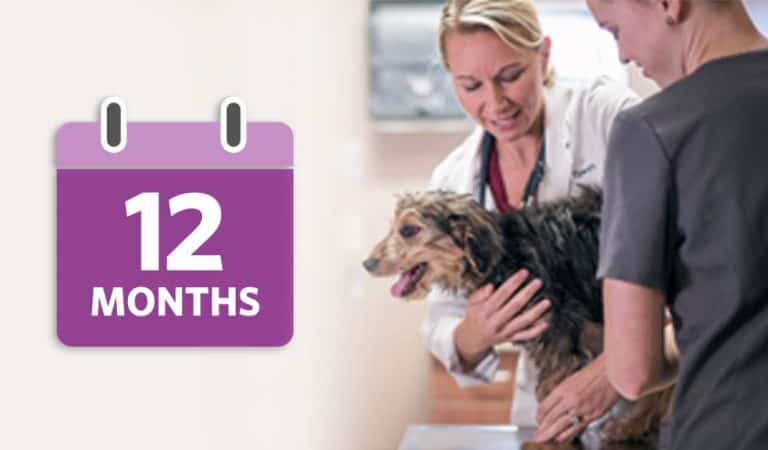 ProHeart SR-12 - Pahang Pharmacy Animal Health